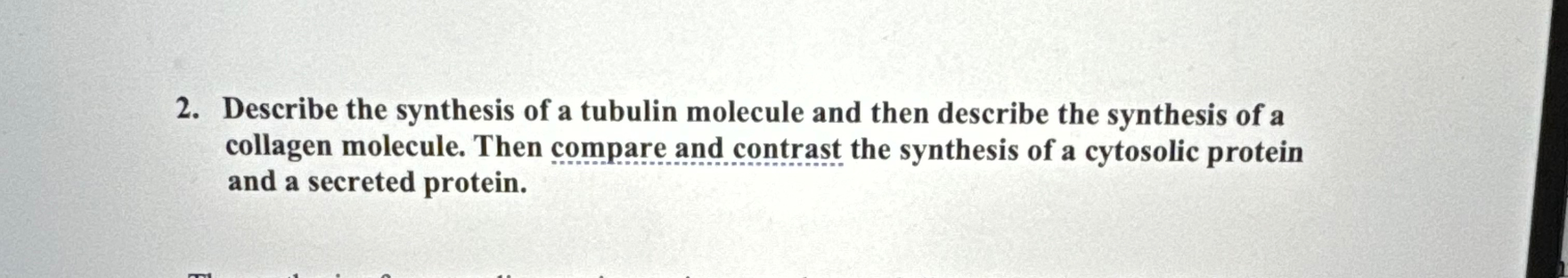 Solved Describe the synthesis of a tubulin molecule and then | Chegg.com