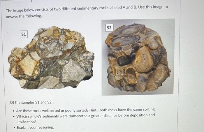 Solved The image below consists of two different sedimentary | Chegg.com