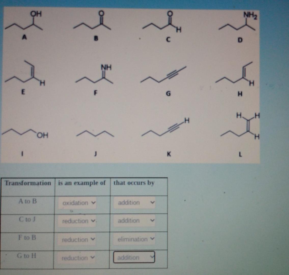 Solved NH2 ہ NH H H. H "OH H Transformation is an example of | Chegg.com