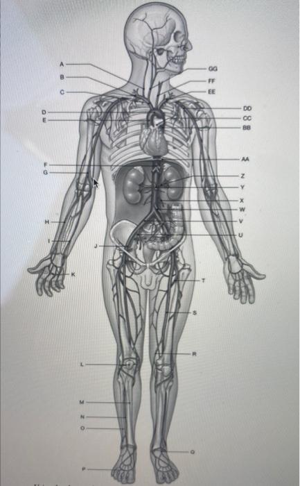 Solved please label | Chegg.com