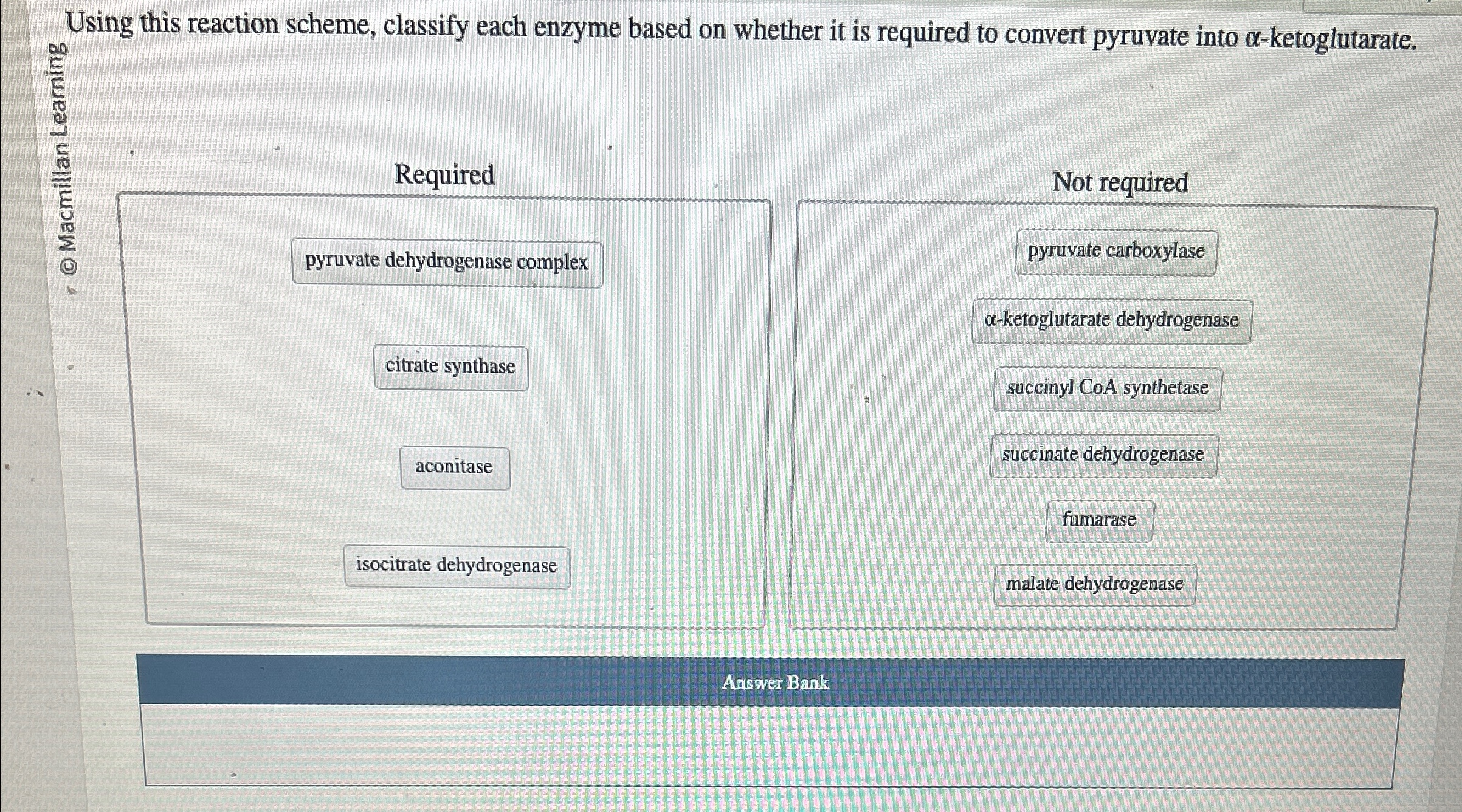 Solved Using this reaction scheme, classify each enzyme | Chegg.com