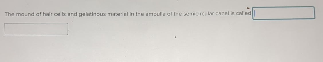 Solved The mound of hair cells and gelatinous material in | Chegg.com