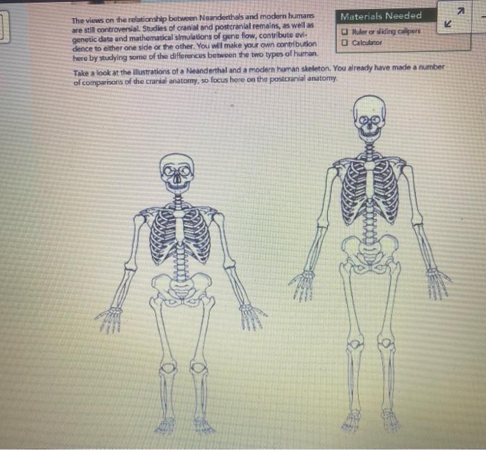 Solved 152 가 K + 1 Describe the shape of each of the | Chegg.com