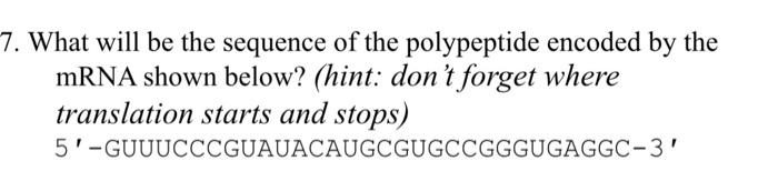 Solved . What will be the sequence of the polypeptide | Chegg.com