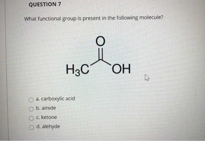 Solved QUESTION 7 What functional group is present in the | Chegg.com