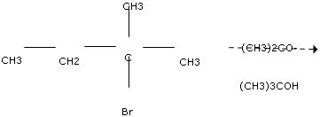 Solved Which is the Most likely product of the following | Chegg.com