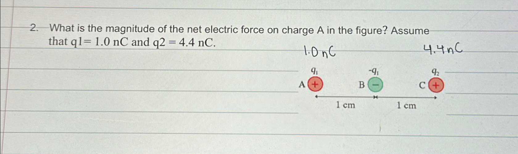 Solved What Is The Magnitude Of The Net Electric Force On