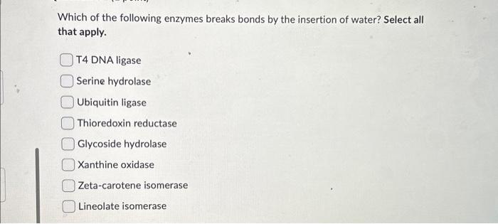 Solved Which of the following enzymes breaks bonds by the | Chegg.com
