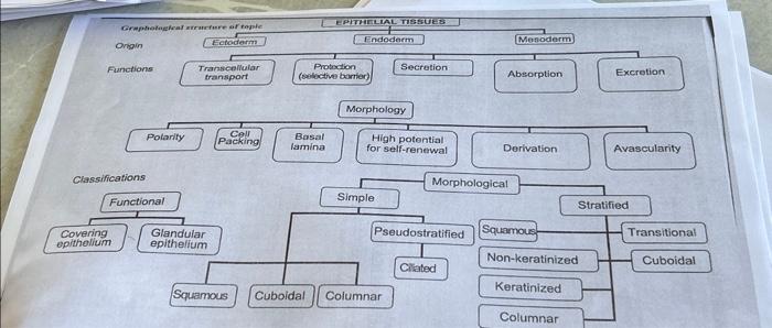 Solved AIM: To know microscopic and submicroscopic structure | Chegg.com