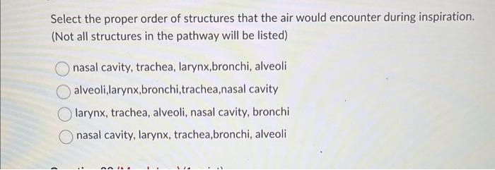 Solved Select the proper order of structures that the air | Chegg.com