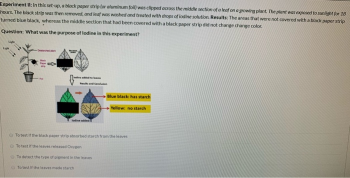 Solved xperiment II: In this set-up, a black paper strip (or | Chegg.com