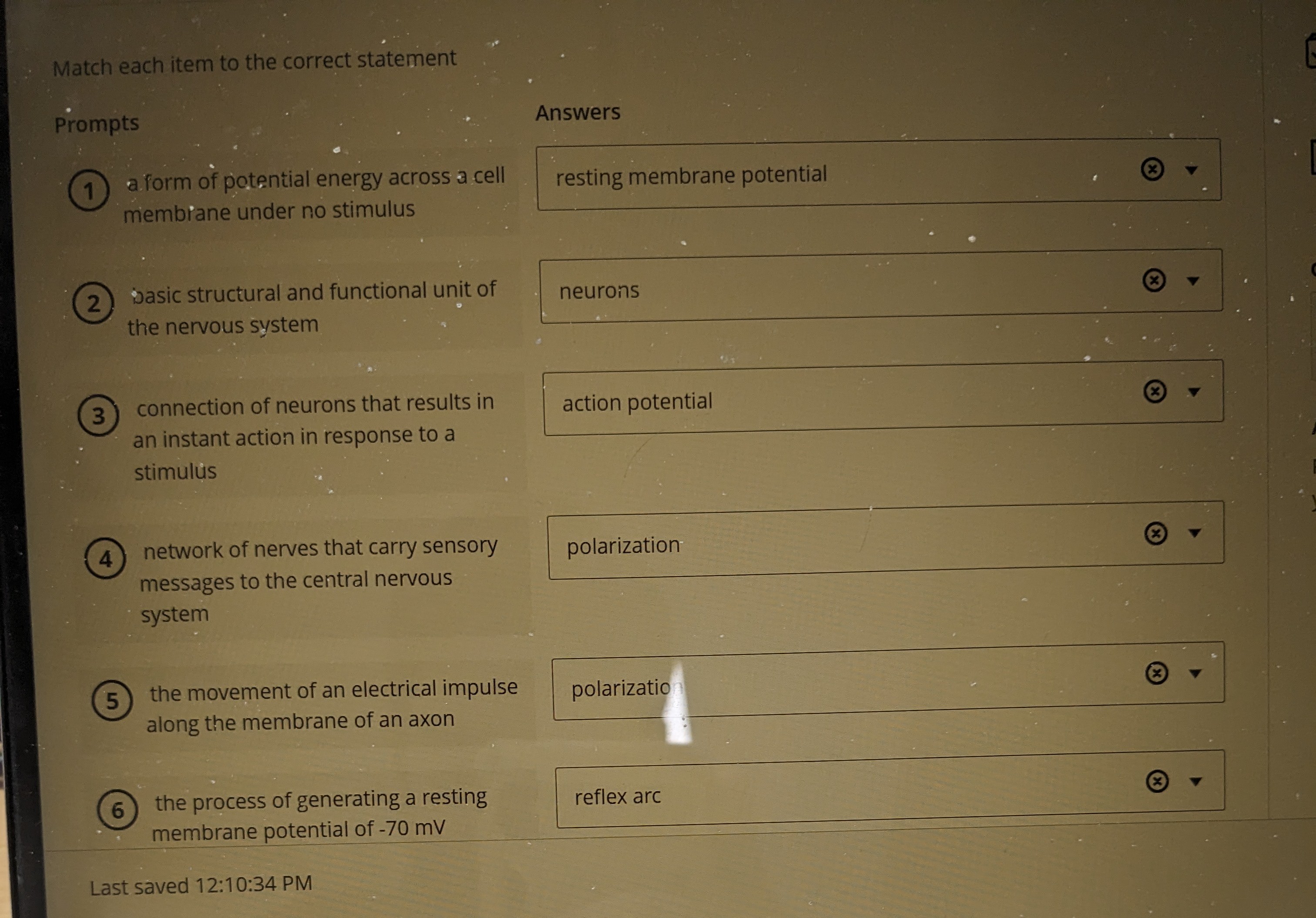 Solved Match each item to the correct | Chegg.com
