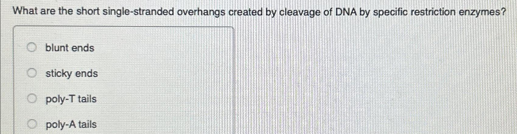 Solved What are the short single-stranded overhangs created | Chegg.com