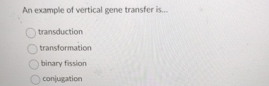 Solved An example of vertical gene transfer is... | Chegg.com