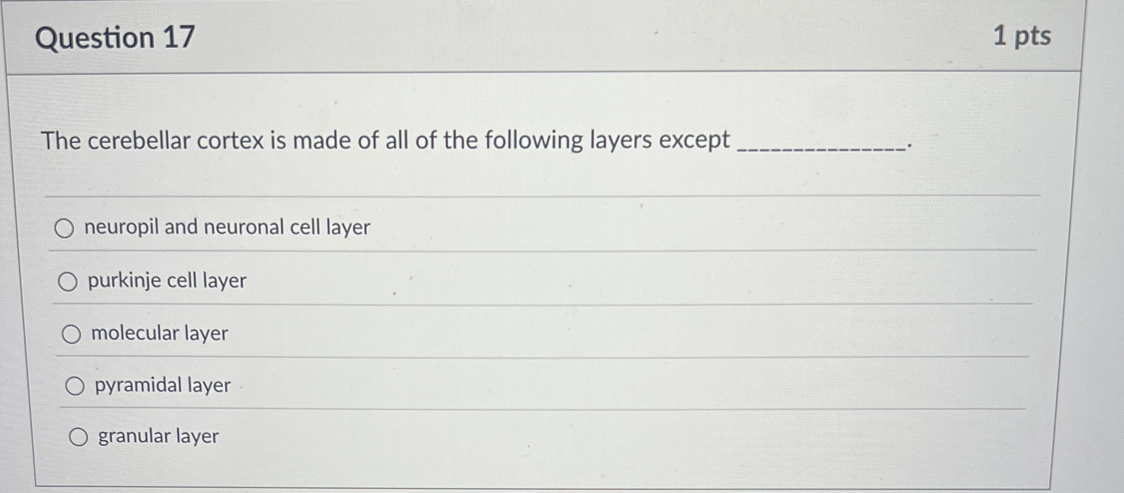 Solved Question 171 ﻿ptsThe cerebellar cortex is made of all | Chegg.com