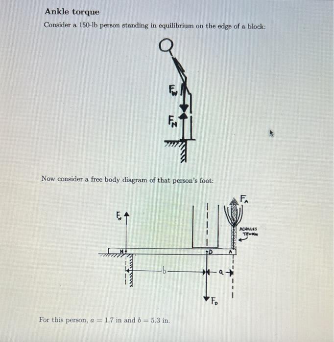 Solved Ankle torque Consider a 150 -lb person standing in | Chegg.com