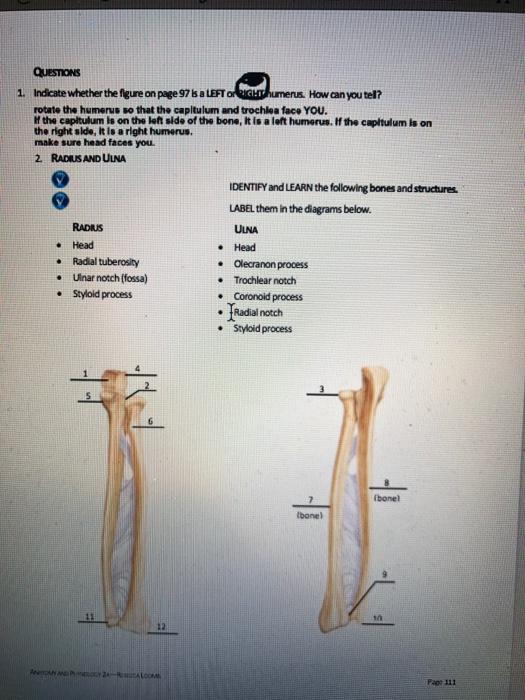 Solved QUESTIONS 1. Indicate whether the figure on page 97 | Chegg.com