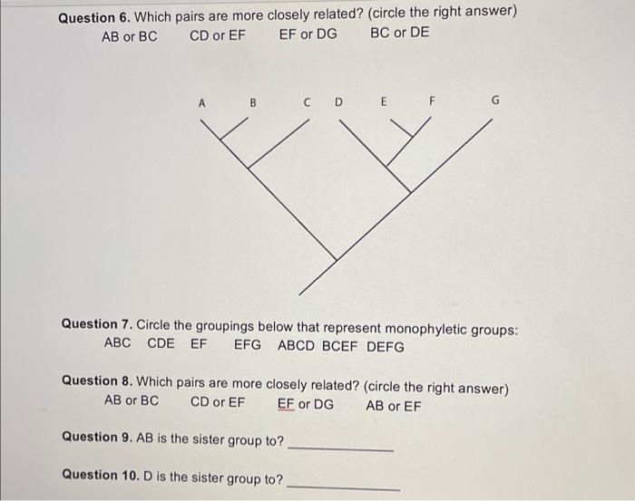 Solved Phylogeny and Cladistics Worksheet (These are the | Chegg.com