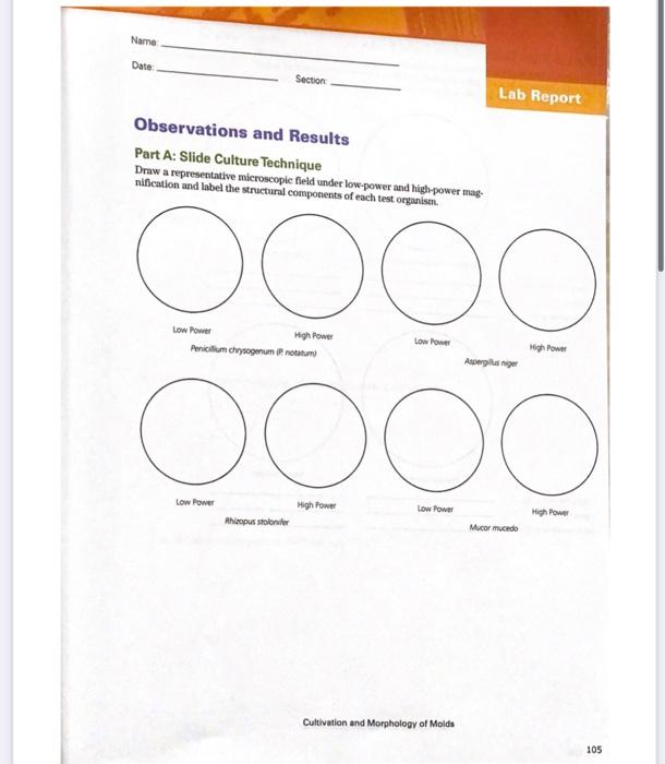 Solved Part A: Slide Culture Technique Draw a representative | Chegg.com