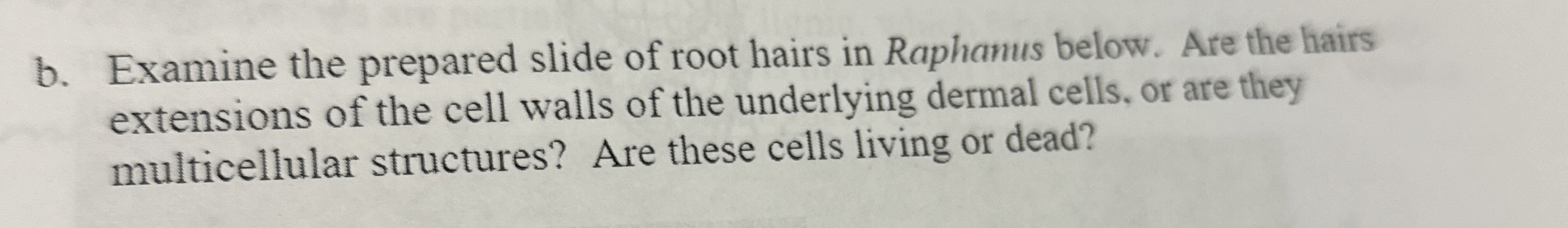 Solved b. ﻿Examine the prepared slide of root hairs in | Chegg.com