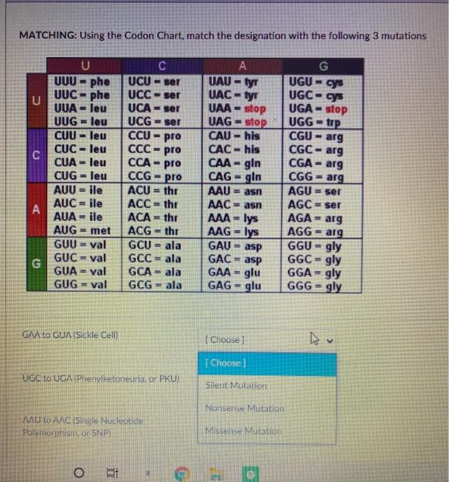 Solved MATCHING: Using the Codon Chart, match the | Chegg.com