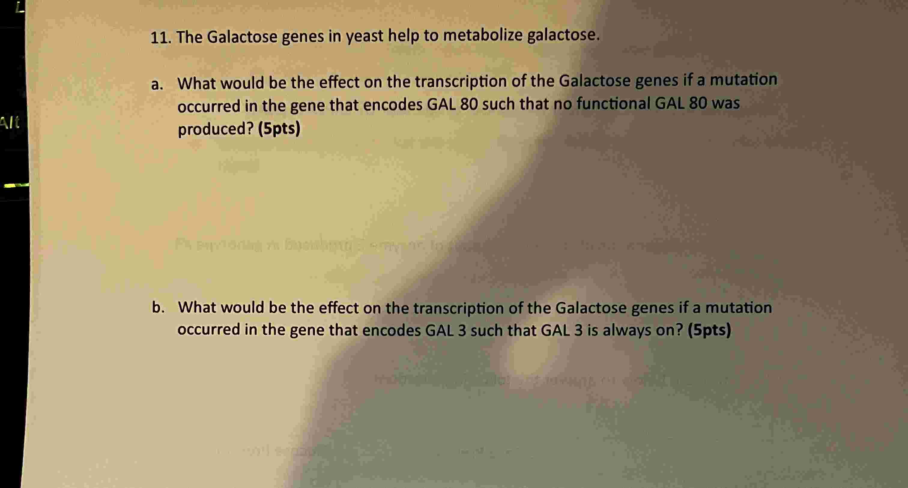 Solved 11. ﻿The Galactose genes in yeast help to metabolize | Chegg.com