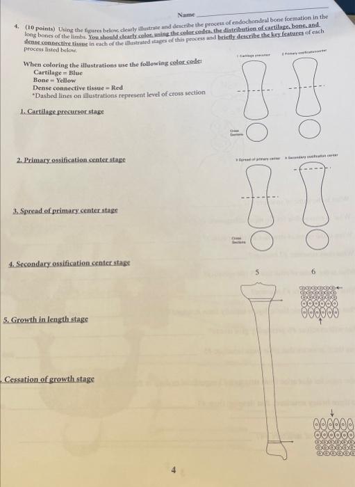 Solved Name 4. (10 points) Using the figures brlonk clearly | Chegg.com