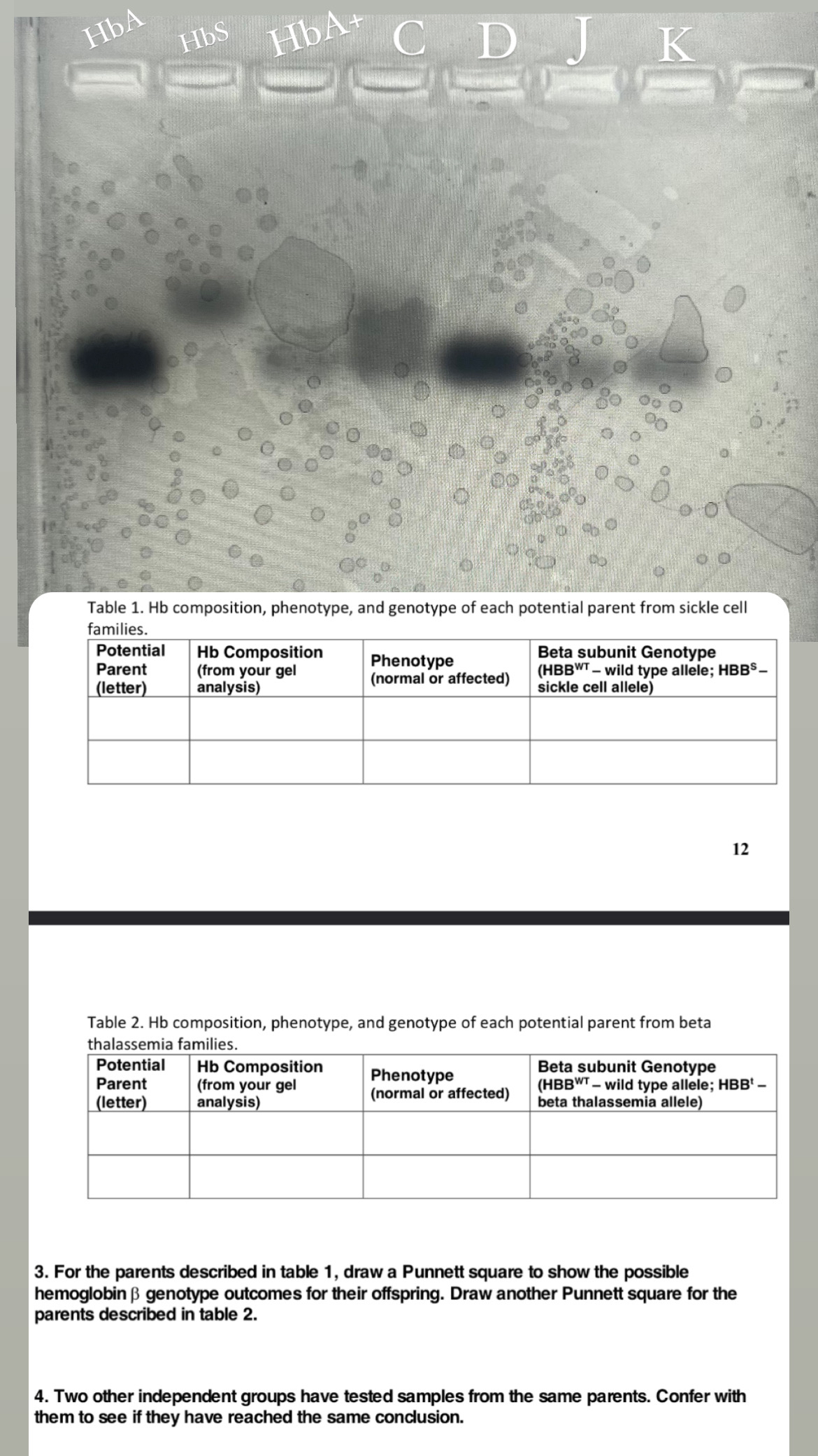 Solved Table 1. ﻿Hb composition, phenotype, and genotype of | Chegg.com