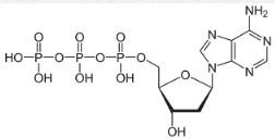 Solved Use the DATP lewis structure to specify electron | Chegg.com