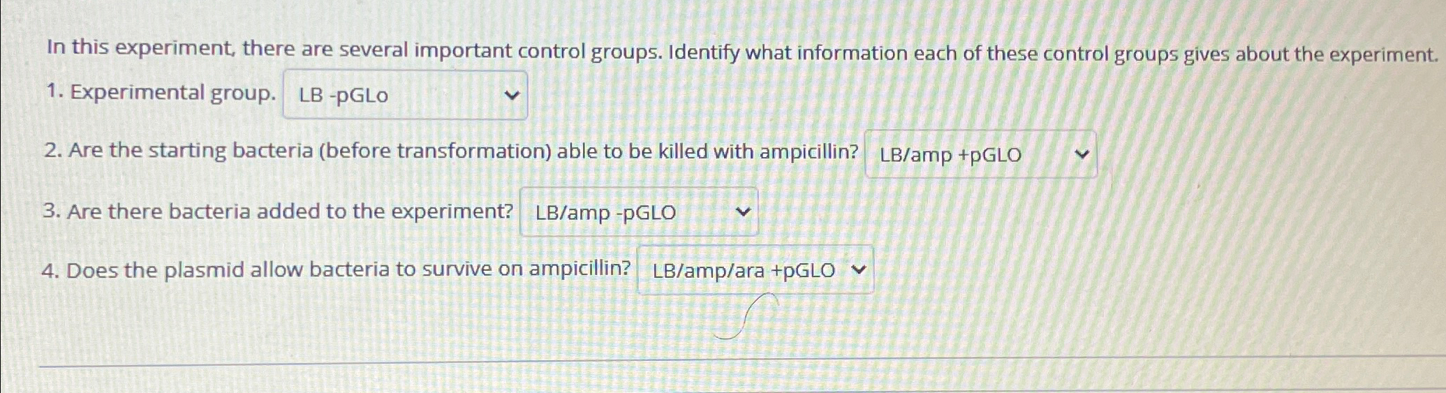 Solved In this experiment, there are several important | Chegg.com