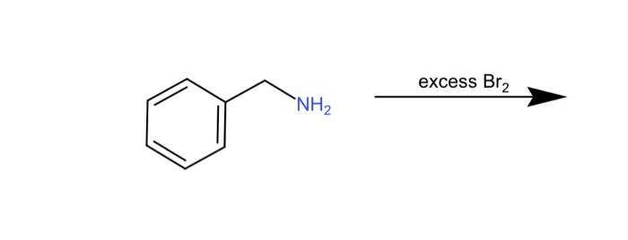 Solved excess Br2 NH2 | Chegg.com