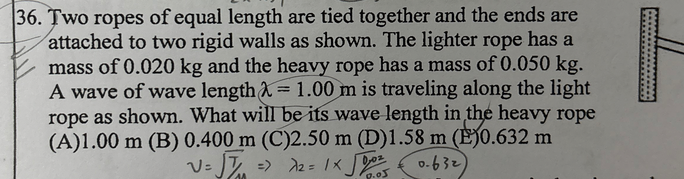 Solved Two ropes of equal length are tied together and the | Chegg.com