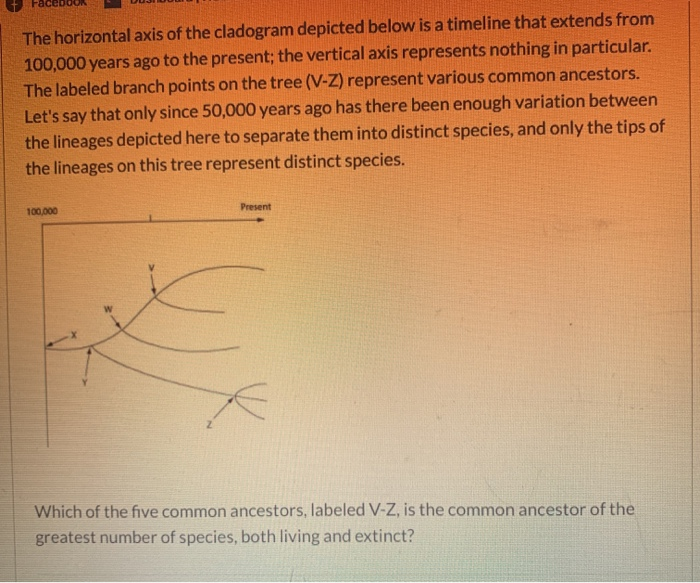 Solved + Faceboo LU The horizontal axis of the cladogram | Chegg.com