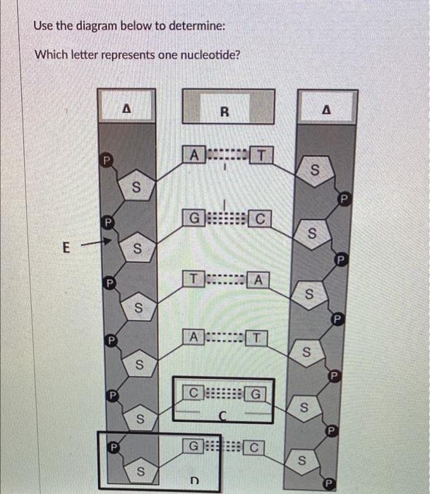 solved-e-e-s-t-bho-a-s-s-s-s-p-s-s-p-gec-s-s-d-c-chegg