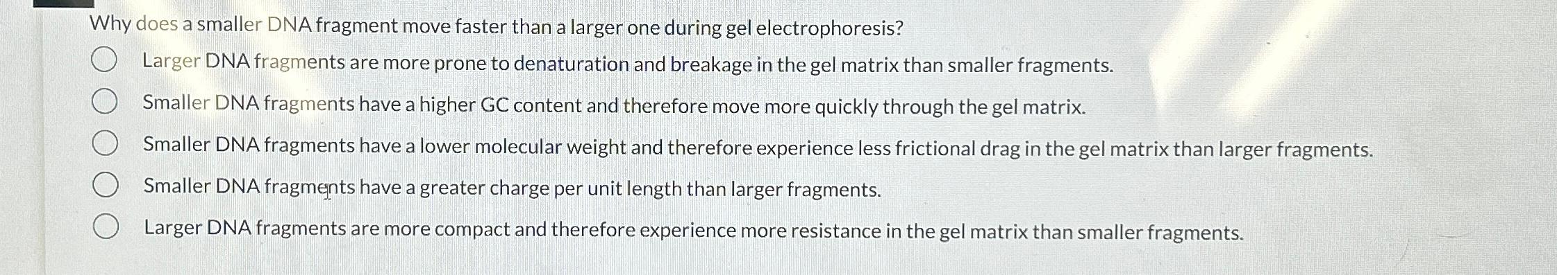 Solved Why does a smaller DNA fragment move faster than a | Chegg.com