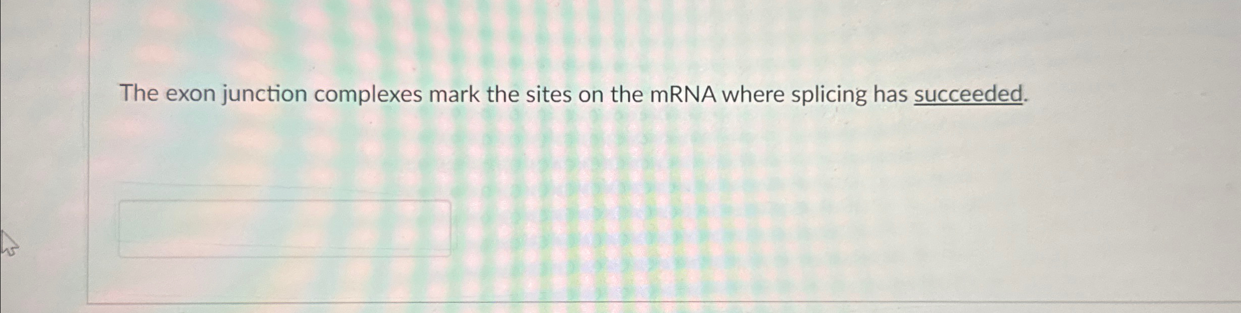 Solved The exon junction complexes mark the sites on the | Chegg.com
