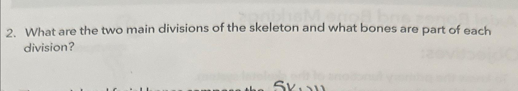 Solved What are the two main divisions of the skeleton and | Chegg.com