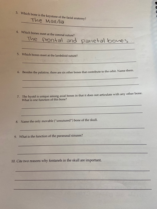 Solved 3. Which bone is the keystone of the facial anatomy? | Chegg.com
