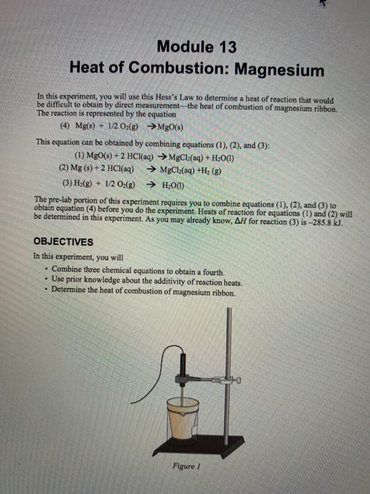 Solved Module 13 Heat of Combustion: Magnesium In this | Chegg.com