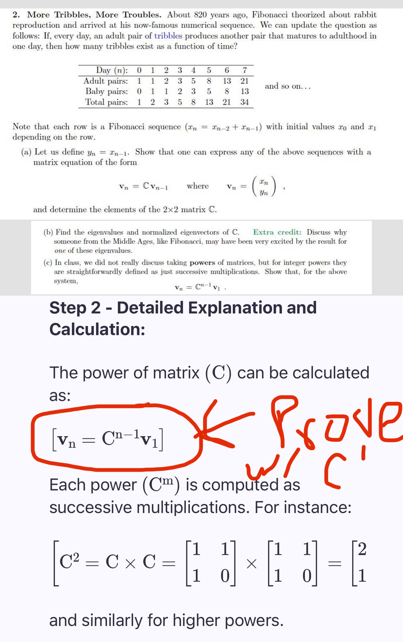 Solved Step 2 - ﻿Detailed Explanation andCalculation:The | Chegg.com
