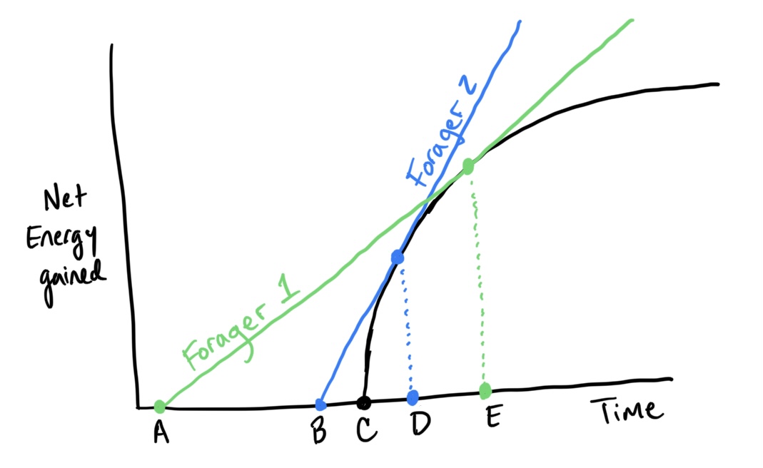 Solved According to the figure, what point signifies the | Chegg.com
