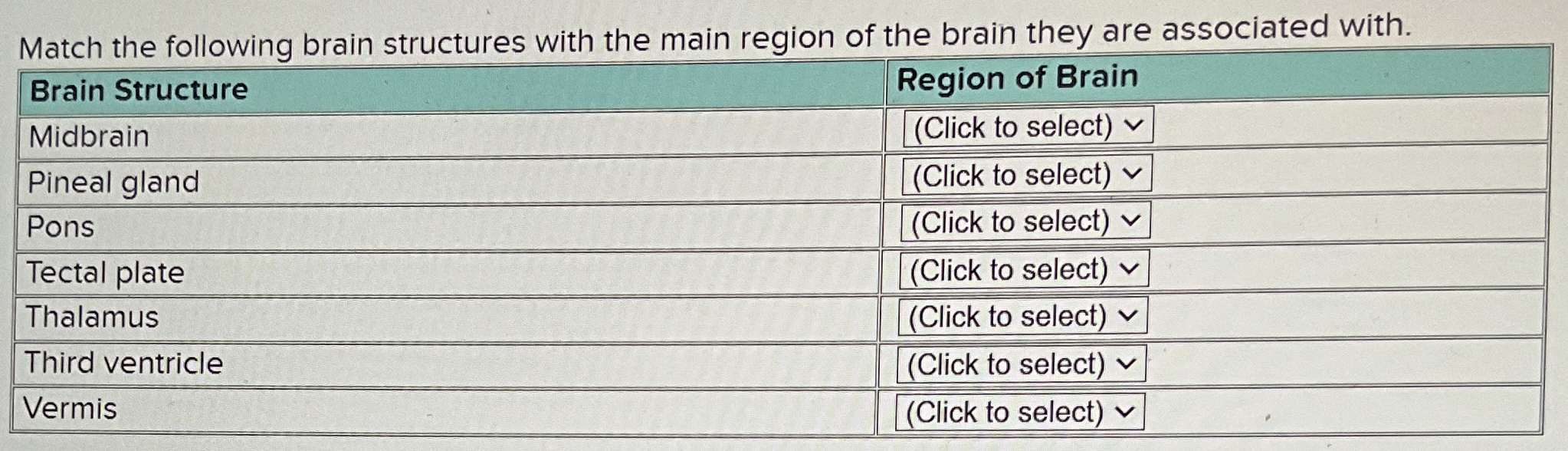 Solved Match the following brain structures with the main | Chegg.com