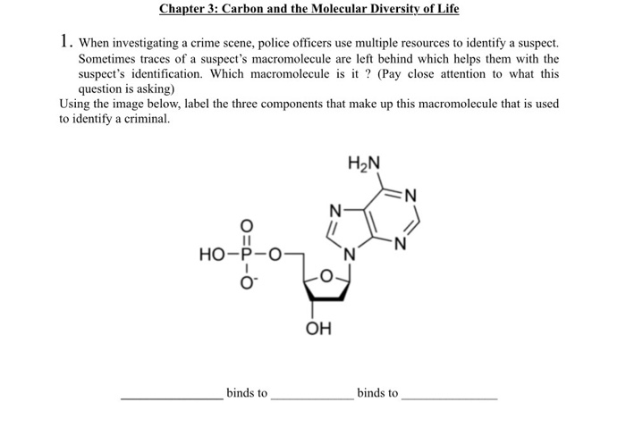 Solved Chapter 3: Carbon and the Molecular Diversity of Life | Chegg.com