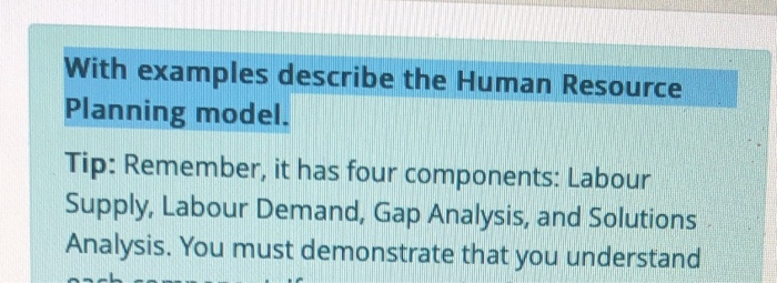 Solved With examples describe the Human Resource Planning | Chegg.com