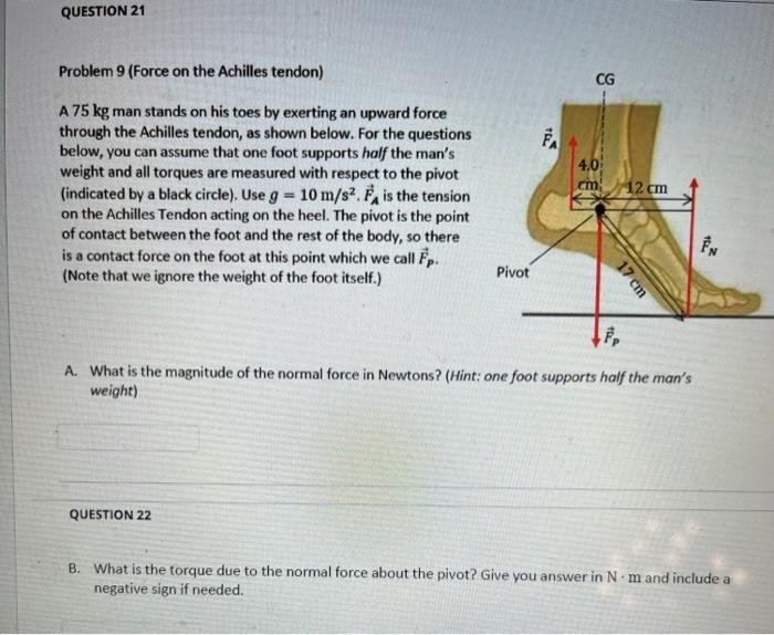 Solved Problem 9 (Force on the Achilles tendon) A 75 kg man | Chegg.com