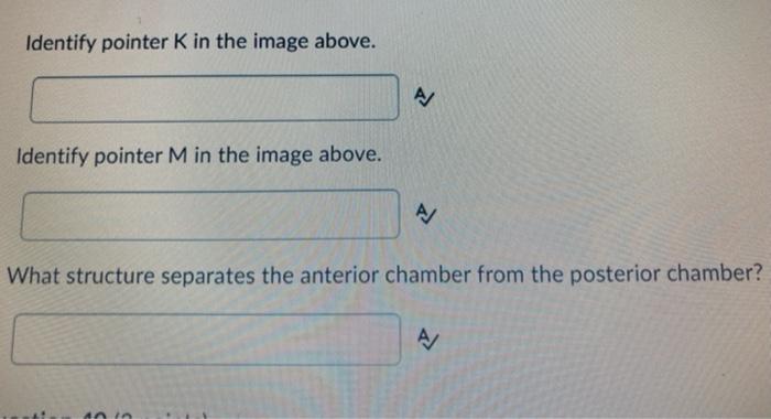 Solved סן D E F G H АН K B C M M Identify pointer K in the | Chegg.com