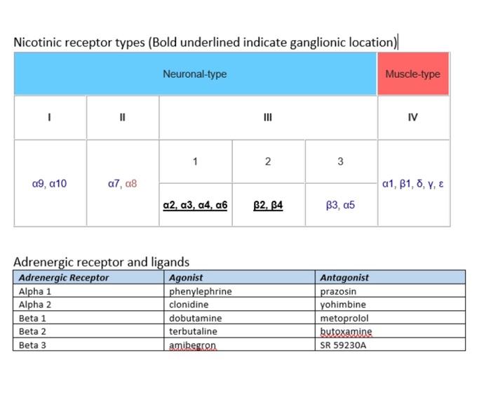 Solved Bssed on the adrenecpin Vigand loble, wheth and wolid | Chegg.com