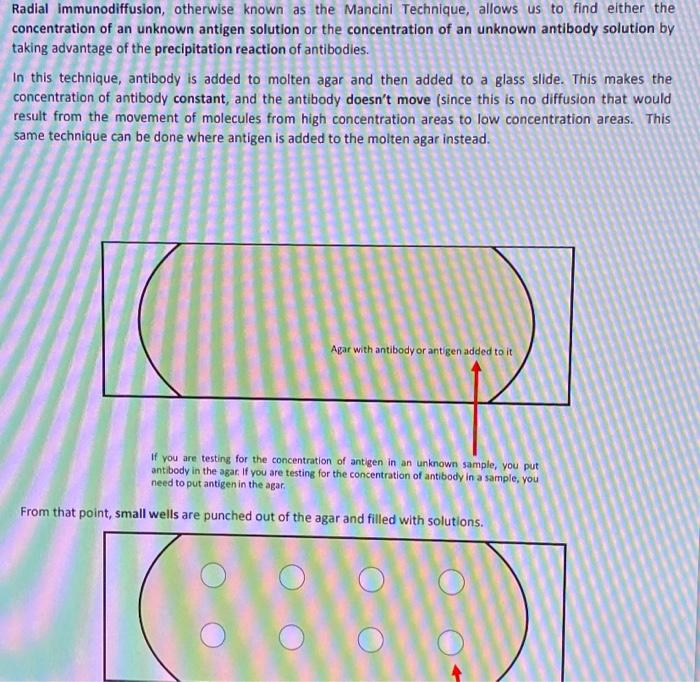 Solved Radial immunodiffusion, otherwise known as the | Chegg.com