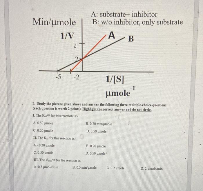 Solved Min/umole 1/ A: substrate+ inhibitor B: w/o | Chegg.com