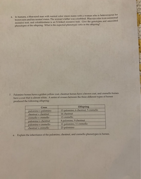 Solved 6. In humans, a blue-eyed man with normal color | Chegg.com